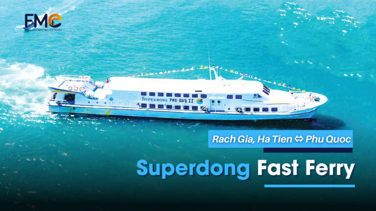 Boat Service - FME Travel