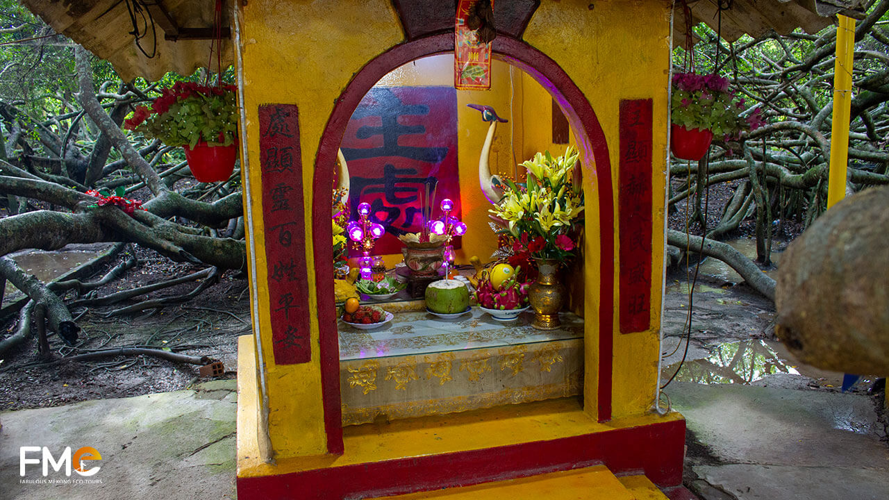 Images of Gian Gua tree in Can Tho: A centuries-old tree
